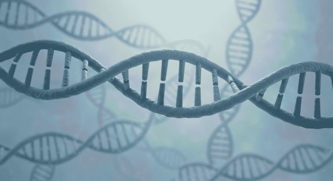 ¿Qué Es Un Gen? La Base De La Herencia Explicada Fácilmente | Despertar ...